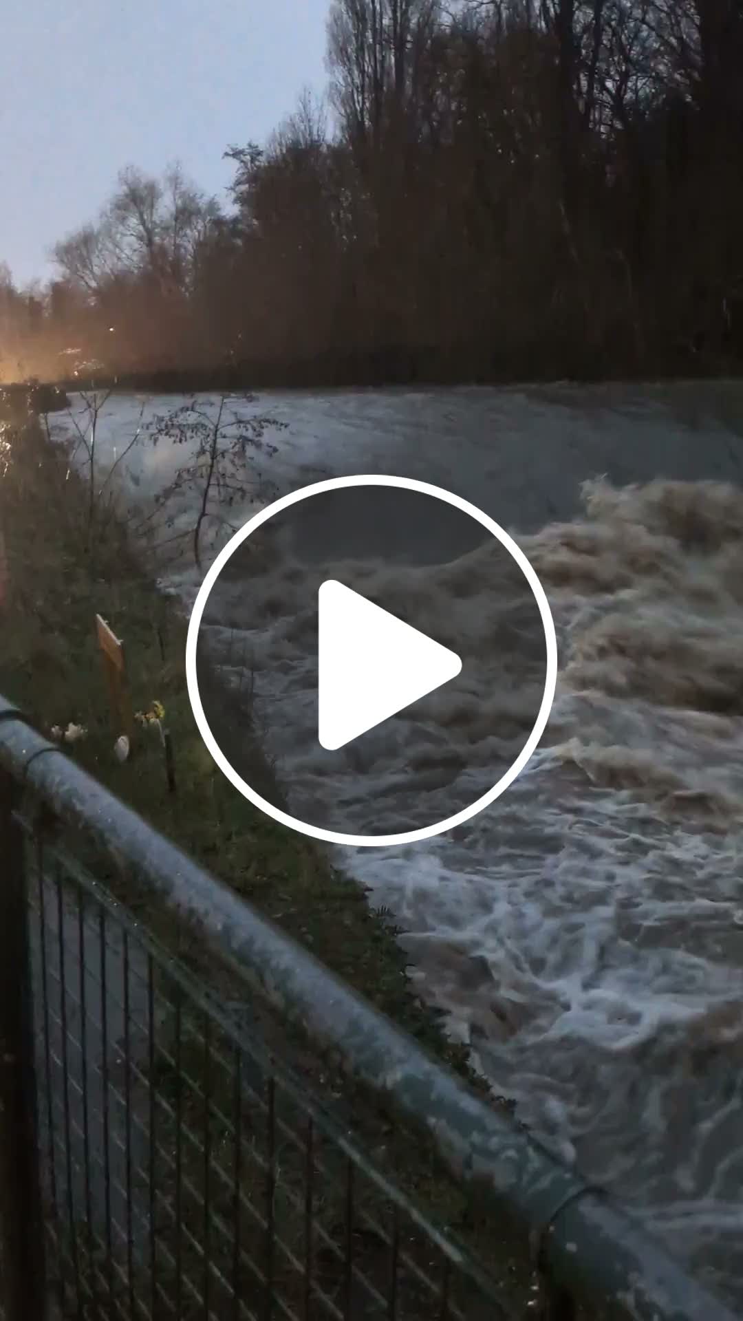 River Dodder swells rapidly during Storm Chandra in Rathfarnham, Dublin ...
