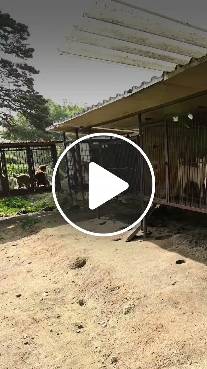 ⏰ TIME IS RUNNING OUT! ⏰ ⁠ ⁠ With only ONE day left in 2025, time is ...