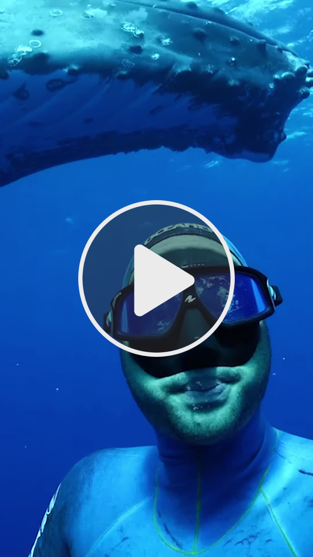 Photobombed By A Whale - NewsBreak