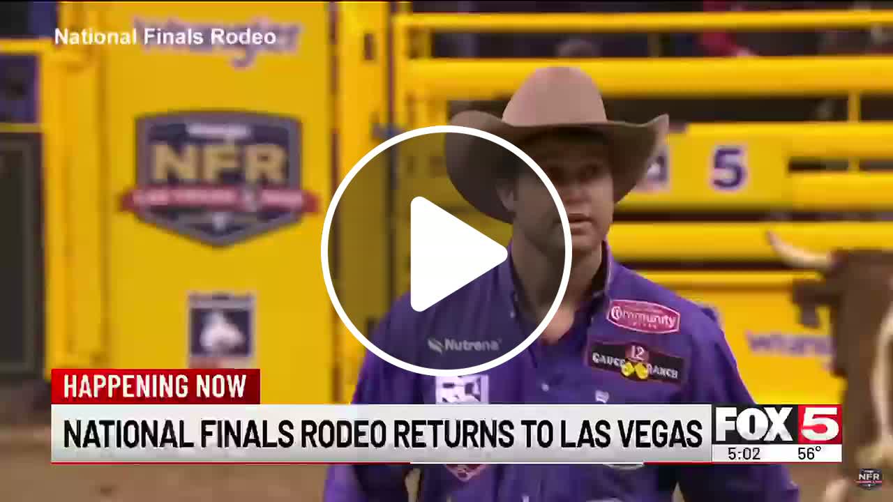 Equine herpes outbreak forces changes at National Finals Rodeo - NewsBreak