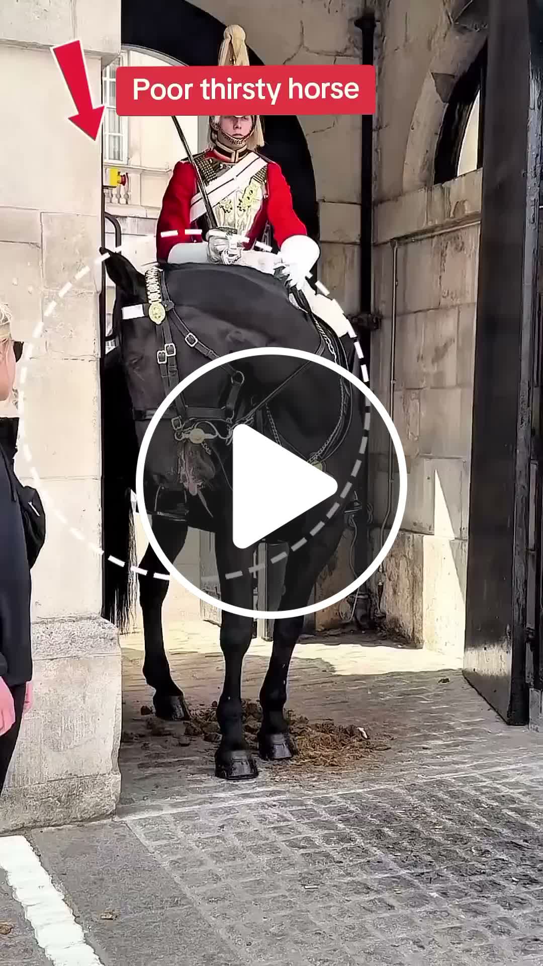 respect #horseguardsparade #peterellis #kingsguard #tourist# ...