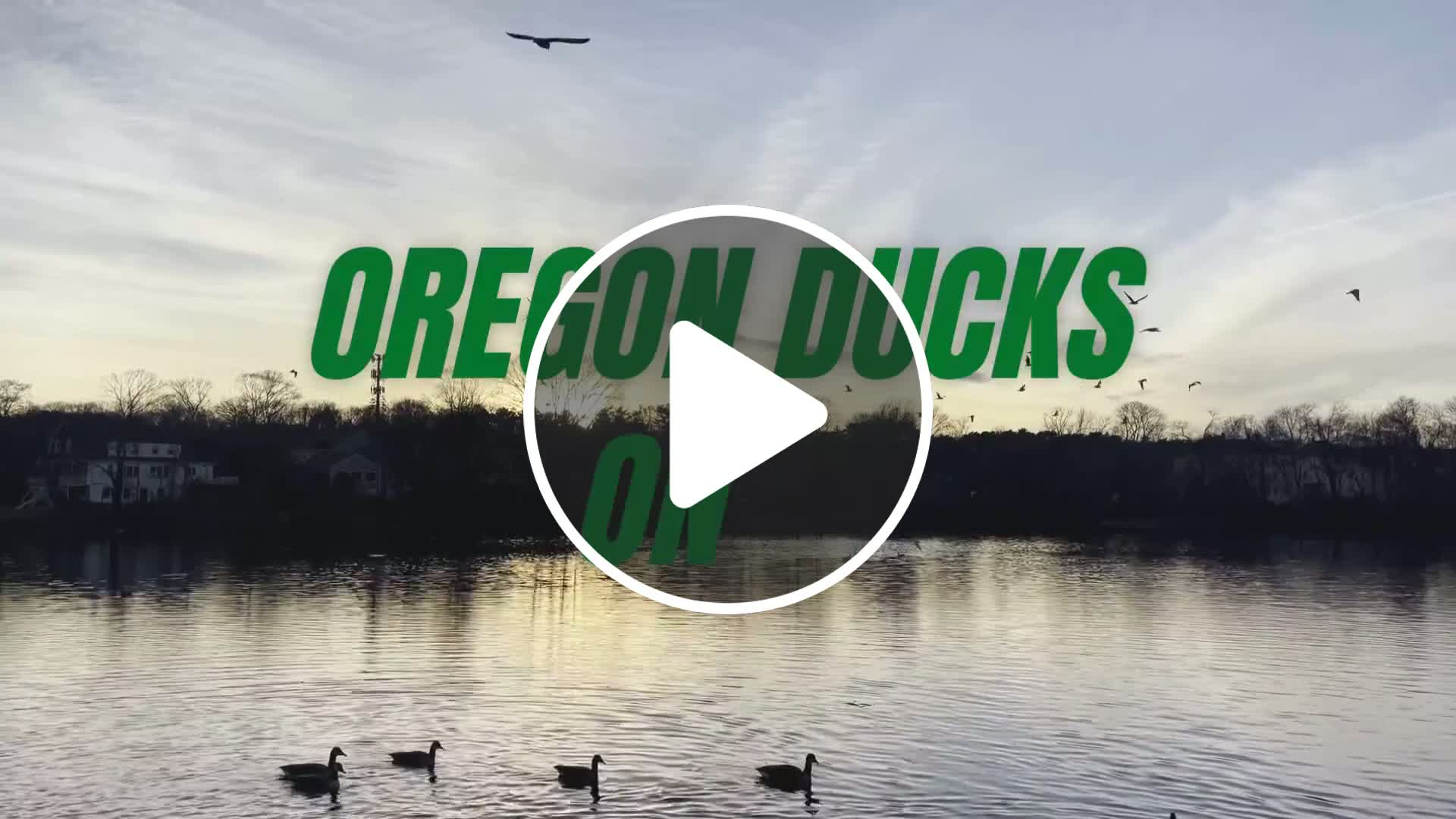 Oregon Ducks Discuss their key mistakes during the game - NewsBreak