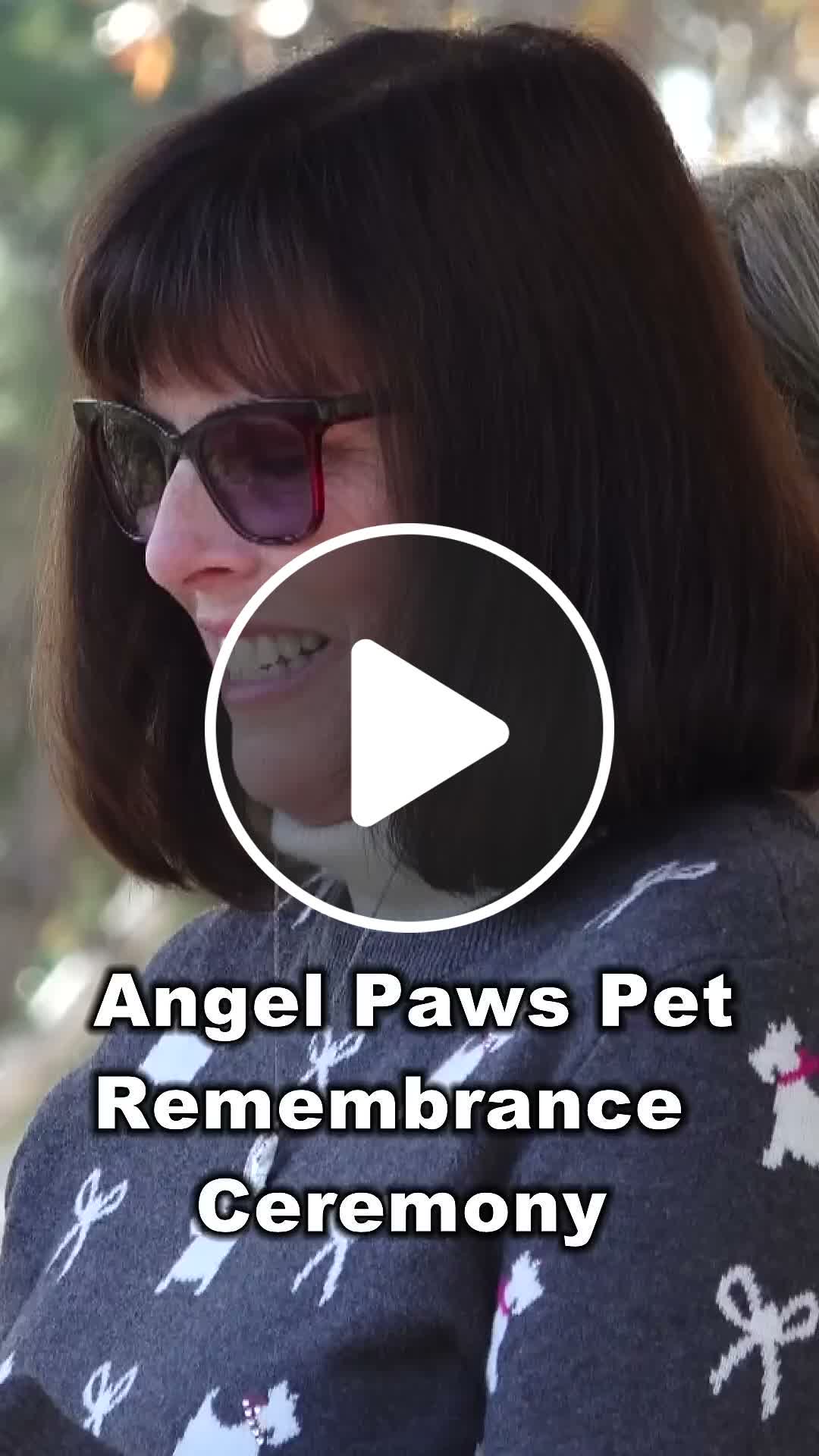 Grieving pet owners gather to honor pets taken to Angel Paws Pet ...