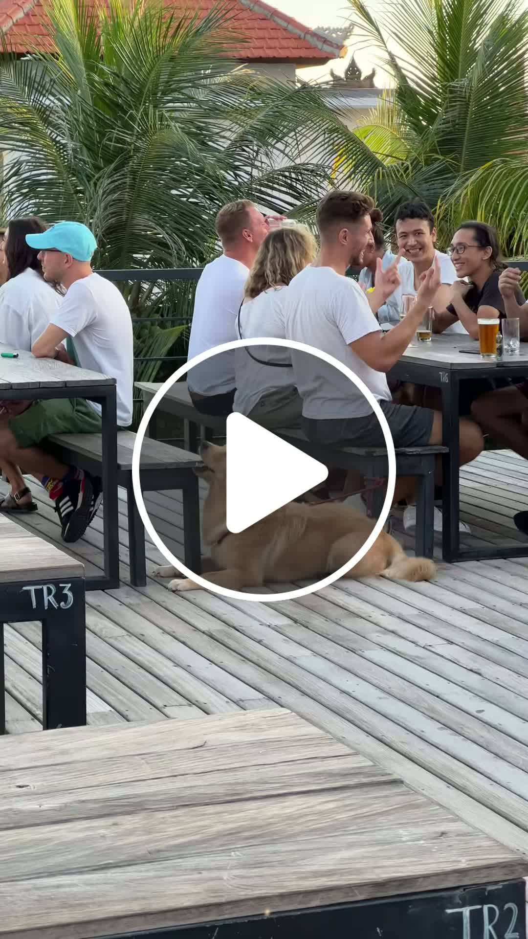 Om nom nom - NewsBreak