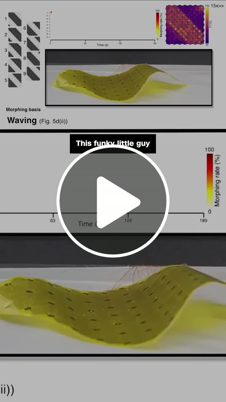 Scientists created a flexible robotic sheet that can fold its shape ...