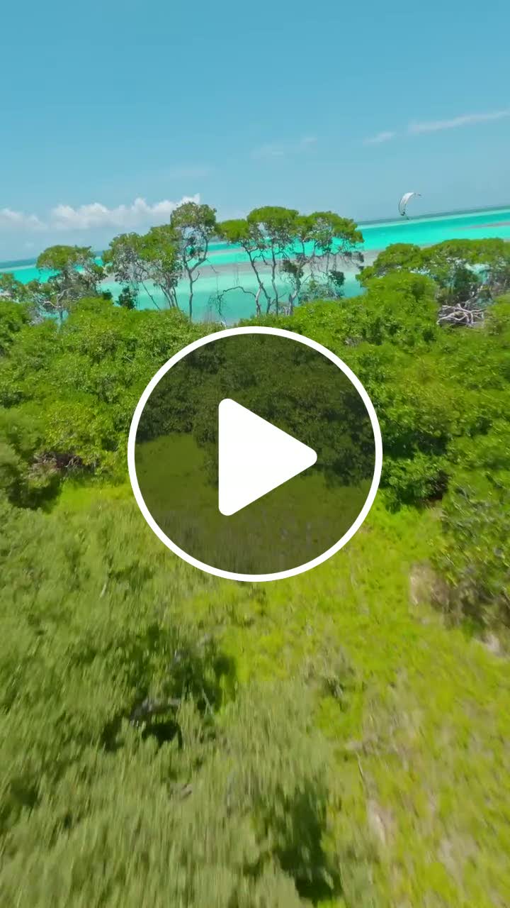 Exploring the beautiful islands of los roques🌴🚁Andy Troy - NewsBreak