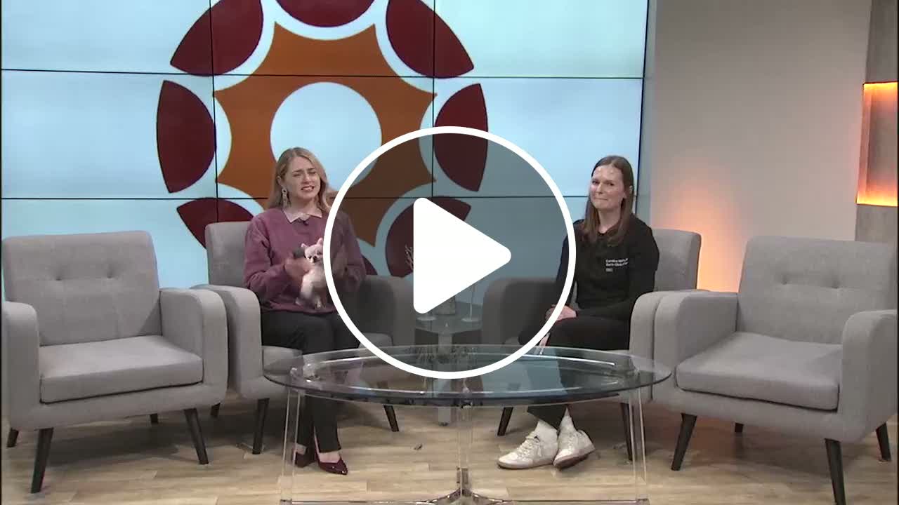 Everyday Iowa - Winter skin care tips with Dr. Caroline Morris - NewsBreak