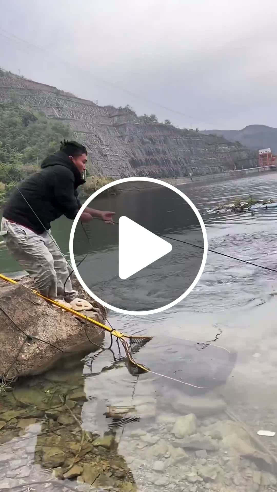 50kg fish stuck in rope🤯 #viral - NewsBreak