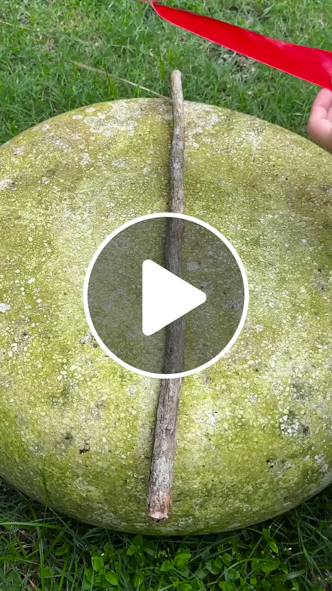 Testing Boots Made for Damp Forest Adventures - NewsBreak