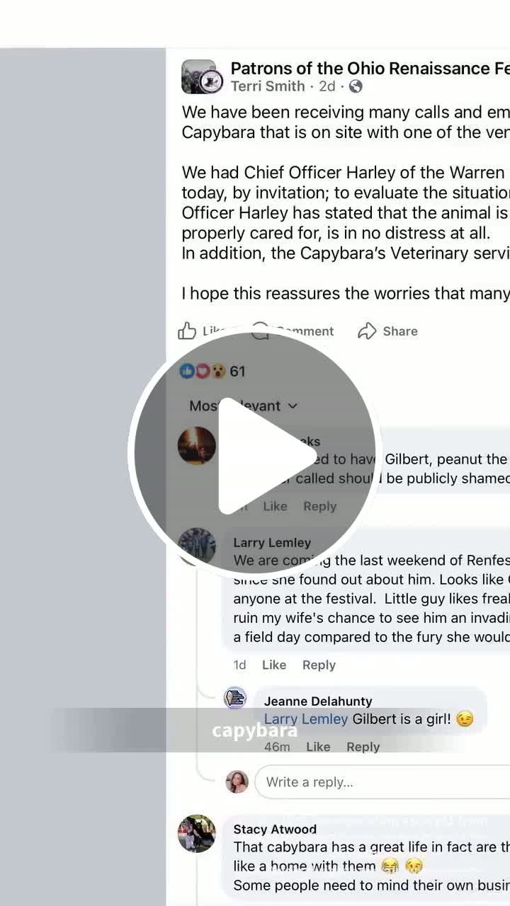 AI news: Ohio Ren Fest Capybara Backlash #ai#Ohio#RenFest#Capybara# ...