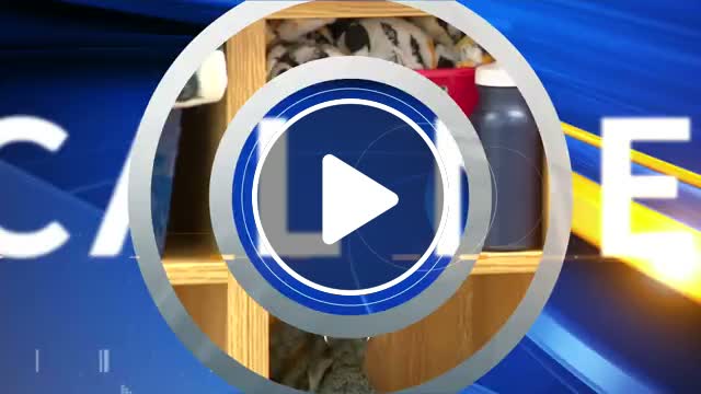 Arrest Made in Killing of Jardyn Walker, Two Ways Contestant on Erica ...