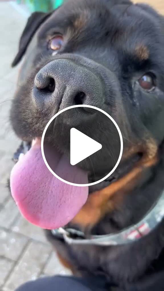 The splash via meglivolti - NewsBreak