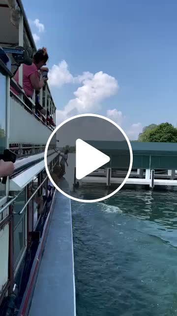 she wasn't expecting that 😲 wait for her reaction 🤯 - NewsBreak