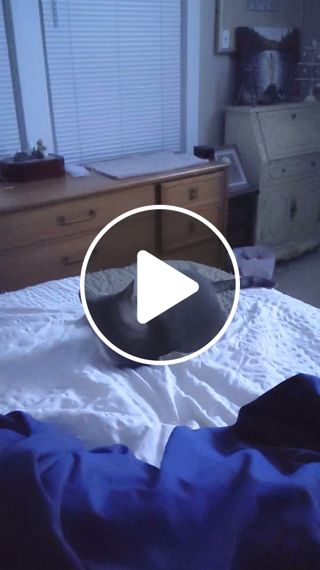 Introducing Zoey...aka Wingnut. - NewsBreak