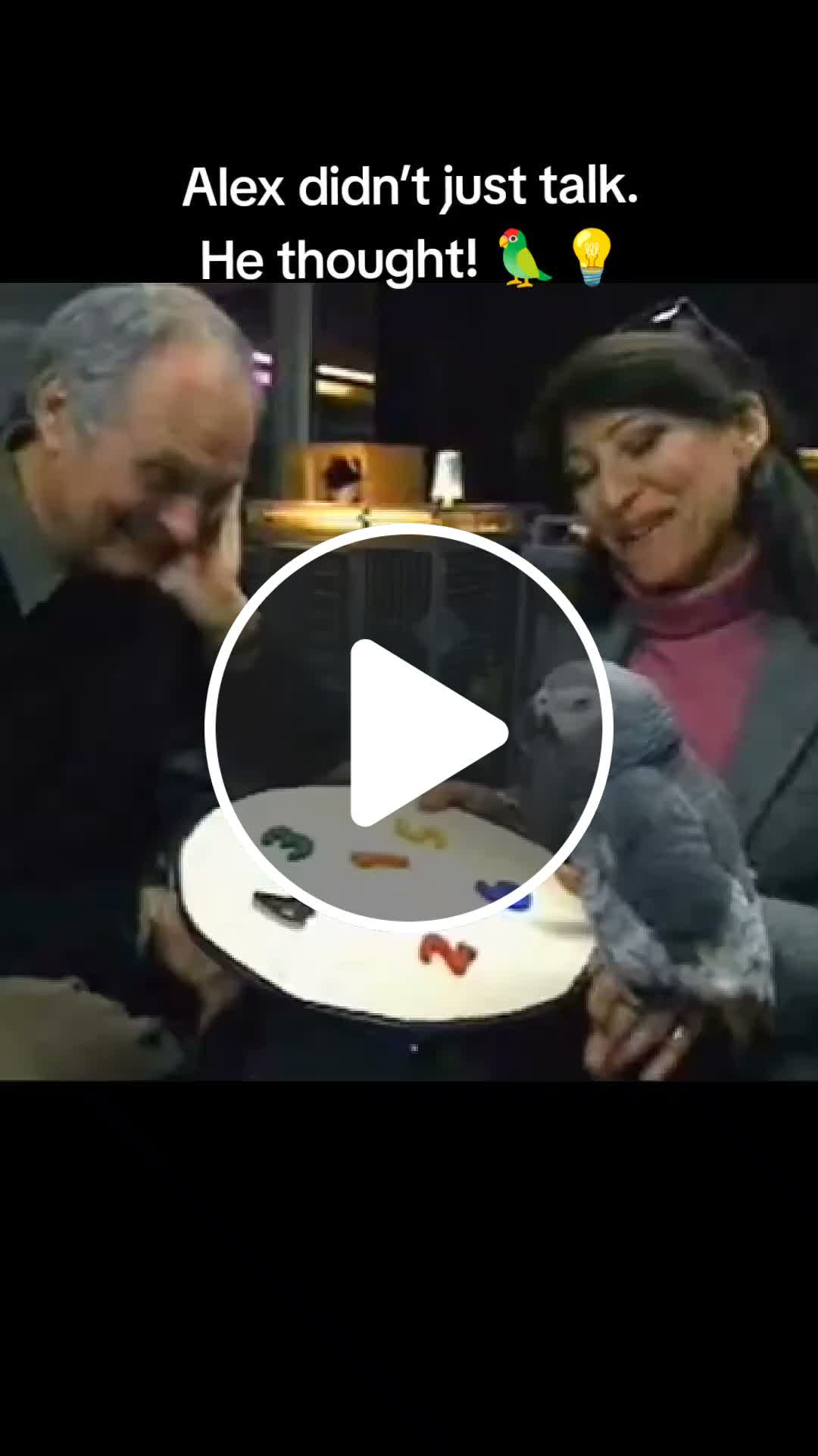 💥Very Smart Parrot💥#animals#parrot#smart#satisfying#amazing#fun - NewsBreak