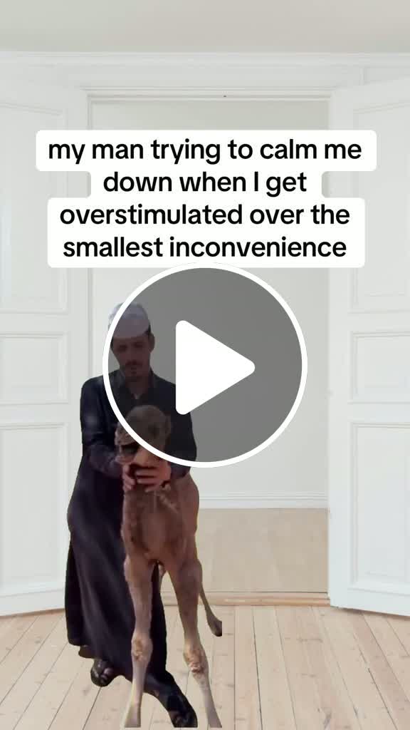 Meme MemeCut 30583 #trending - NewsBreak