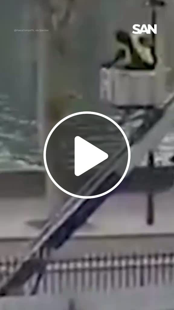 A new video released revealed a bizarre twist in what’s being called ...