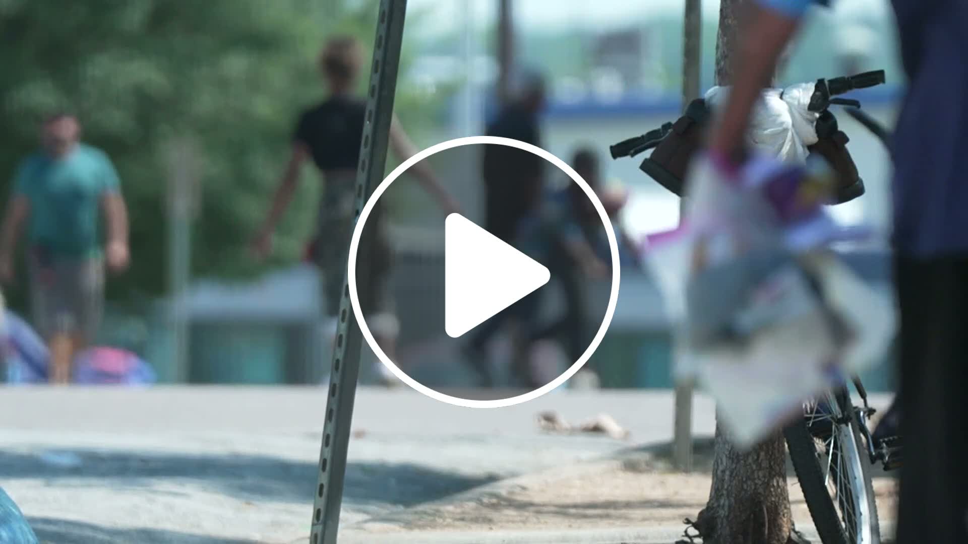 5 humans vs 1 secret animal - NewsBreak