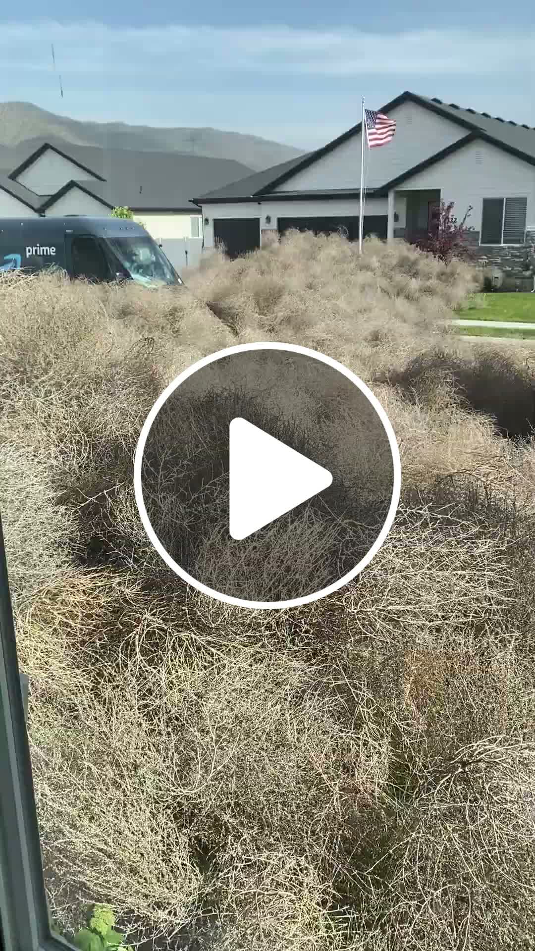 Amazon Delivery Driver Drives Through Tumbleweeds to Deliver Package ...