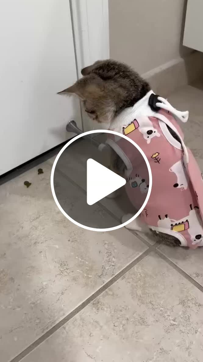 We've got a thief on our hands - NewsBreak