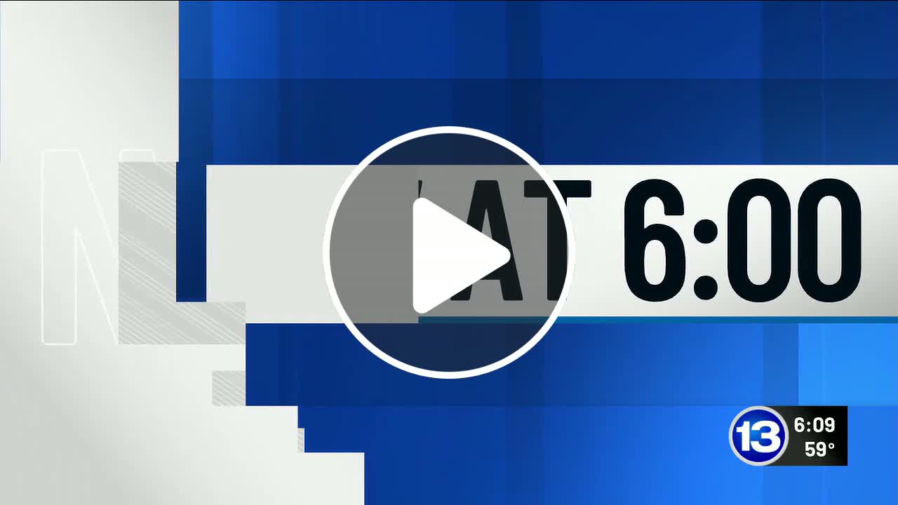 Illegal cat drop-off at local shelter - NewsBreak