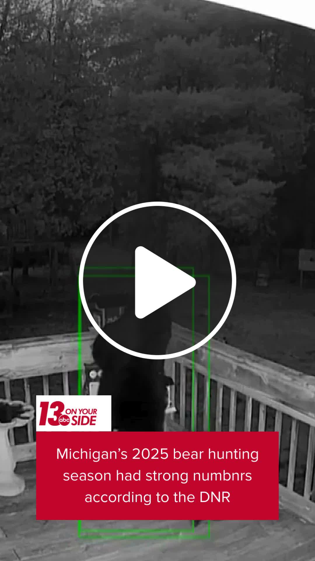 DNR: Michigan's 2025 bear hunting season brought strong harvest numbers ...