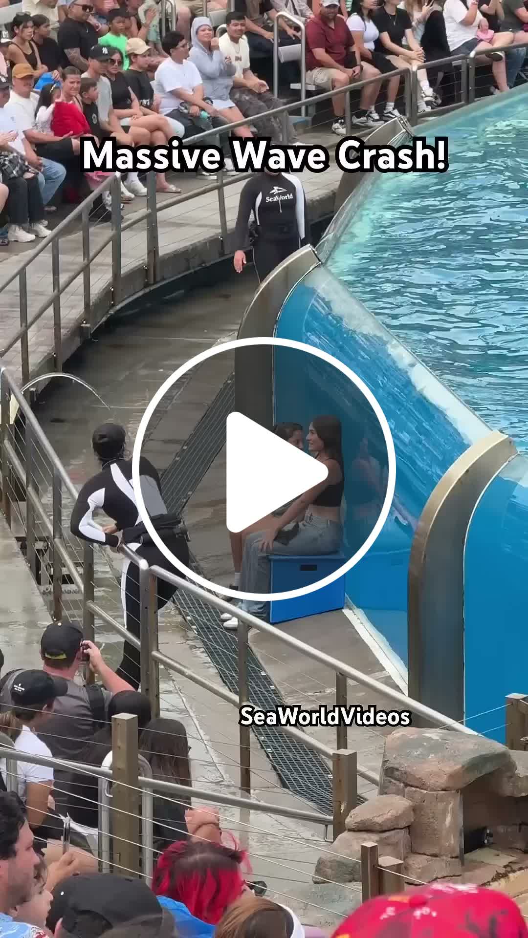 Massive Orca Whale Wave Crash on Guests! 🐳 #seaworld #funny #orca # ...
