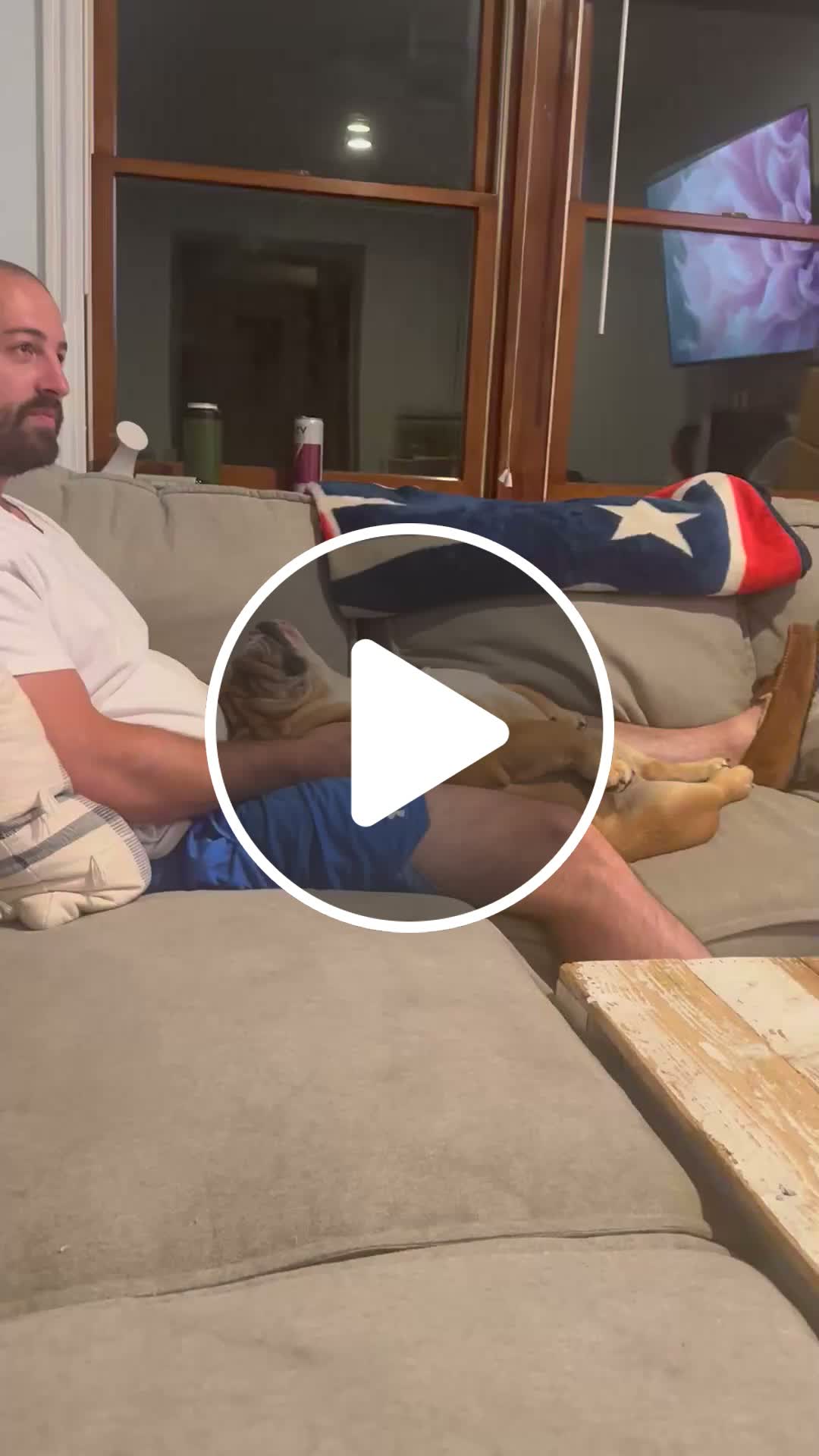 Cozy Dog’s Trust Fall Attempt Winds up Successful - NewsBreak