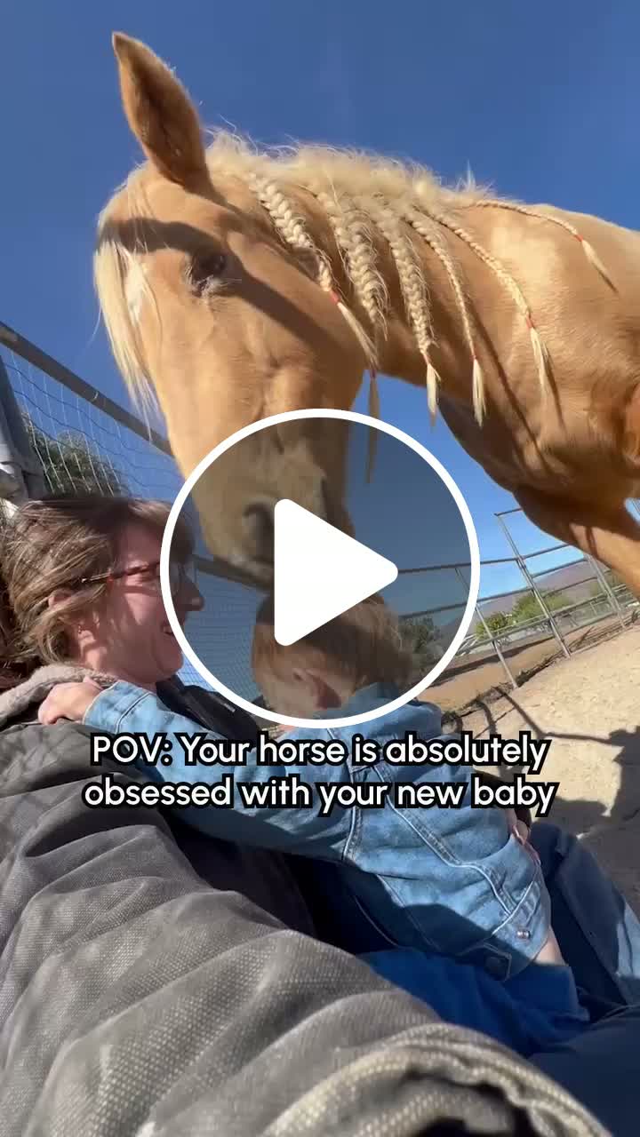 The horse was smiling🥹He loves to make them laugh!💕 - NewsBreak