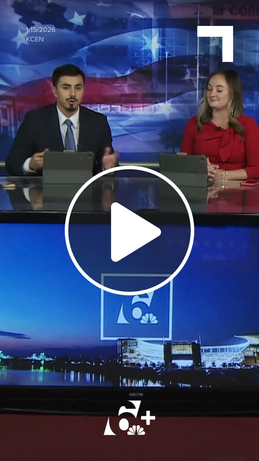 New study says horses can smell fear - NewsBreak