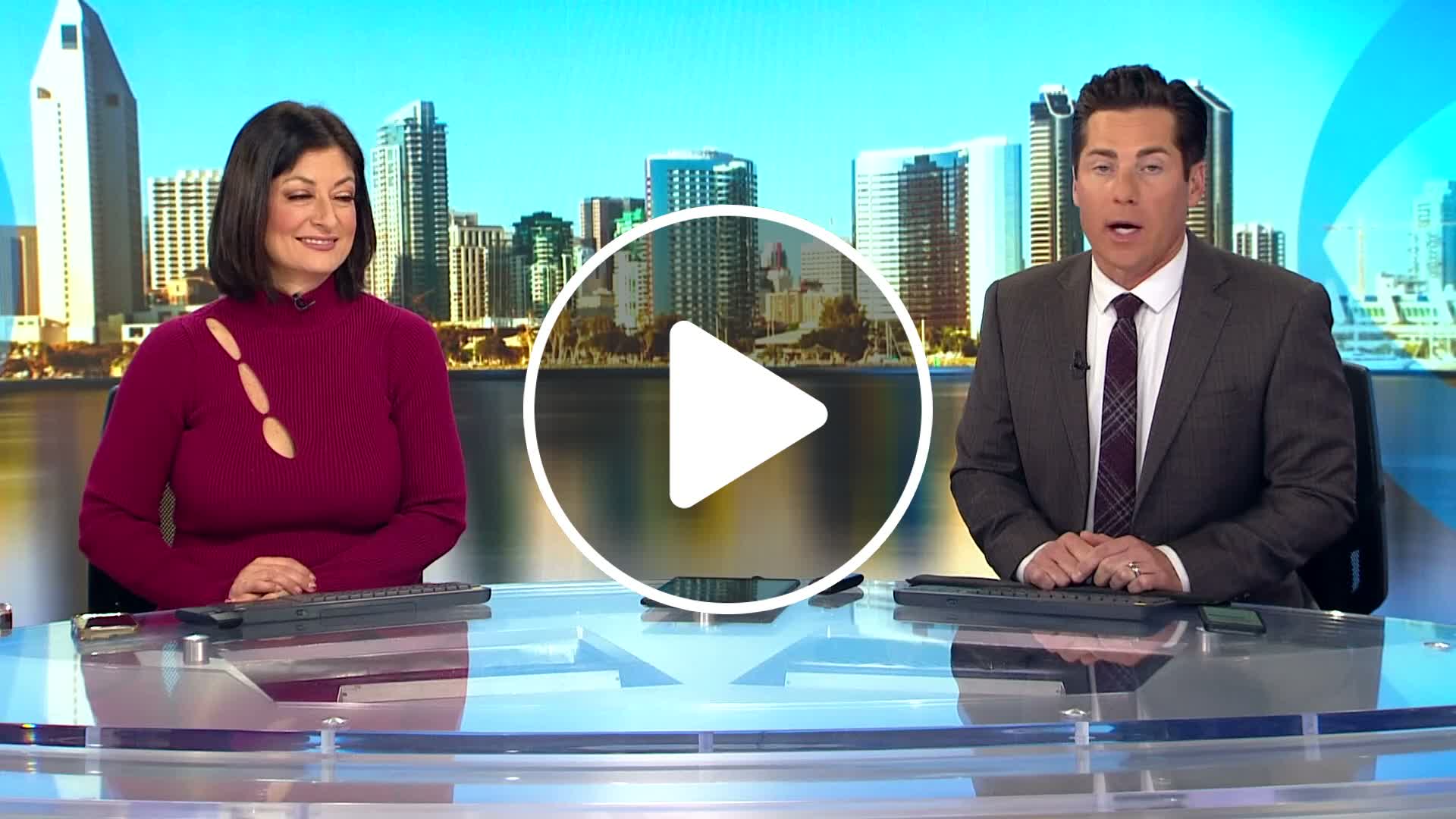 Cat attacked by coyote graduates from rabies quarantine - NewsBreak