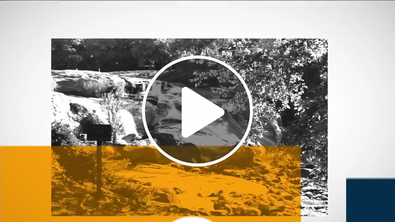 Saturday is Conservation Night at Greenville Swamp Rabbits - NewsBreak