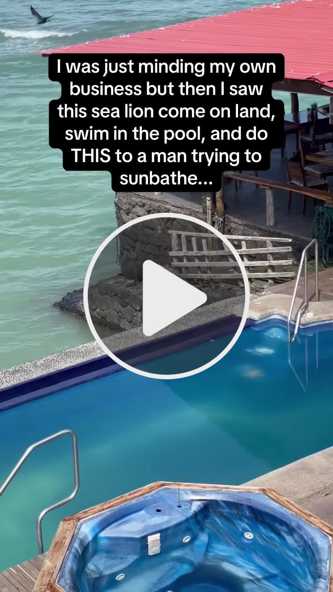 The man at the end was NOT happy RoadTo17Million Pubity Via ViralHog ...