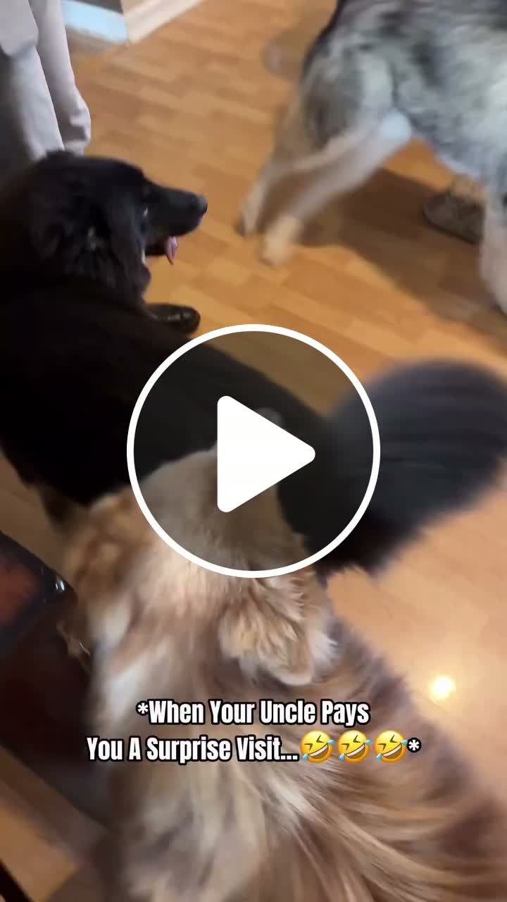 When your favourite Uncle shows up all hell breaks loose 😅 - NewsBreak