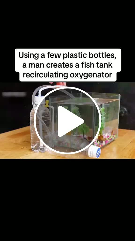 Using a few plastic bottles, a man creates a fish tank recirculating ...
