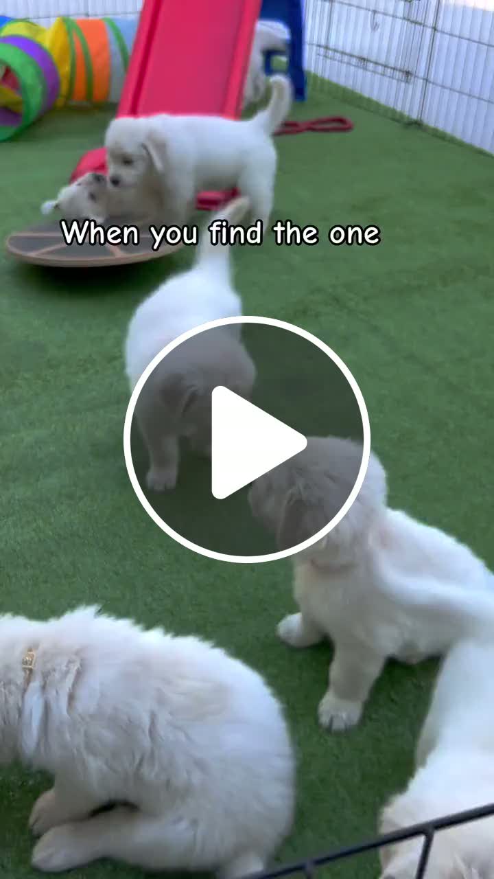 Do you still remember the first day we met😘😘 - NewsBreak