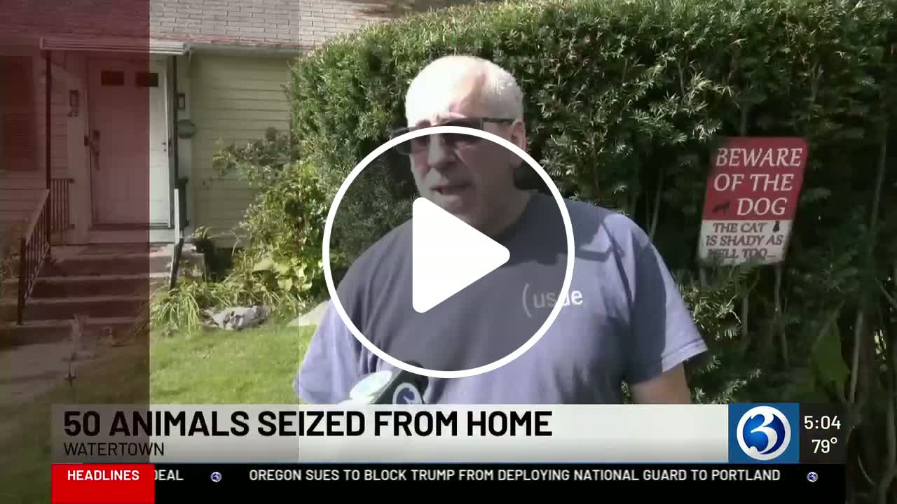 Man charged with 50 counts of animal cruelty after dogs, cats removed ...