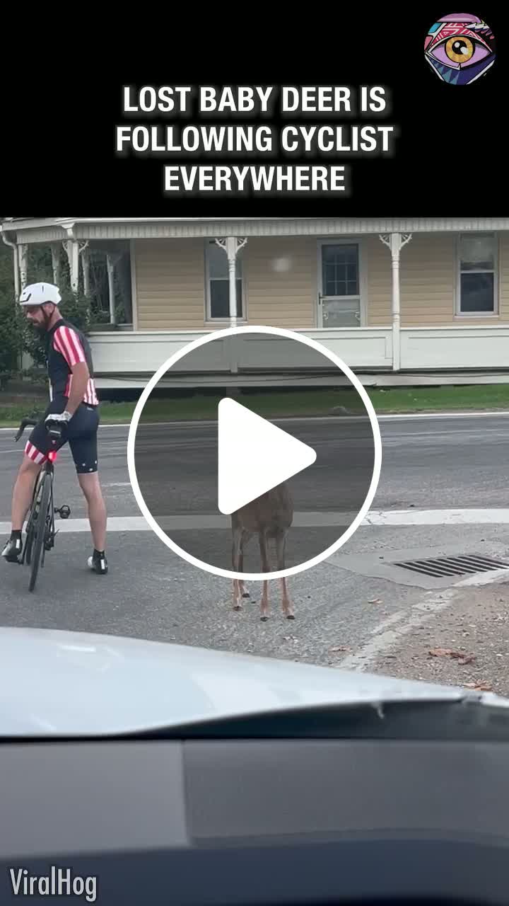 When your ride turns into a Disney movie#UnpopularOpinion # ...