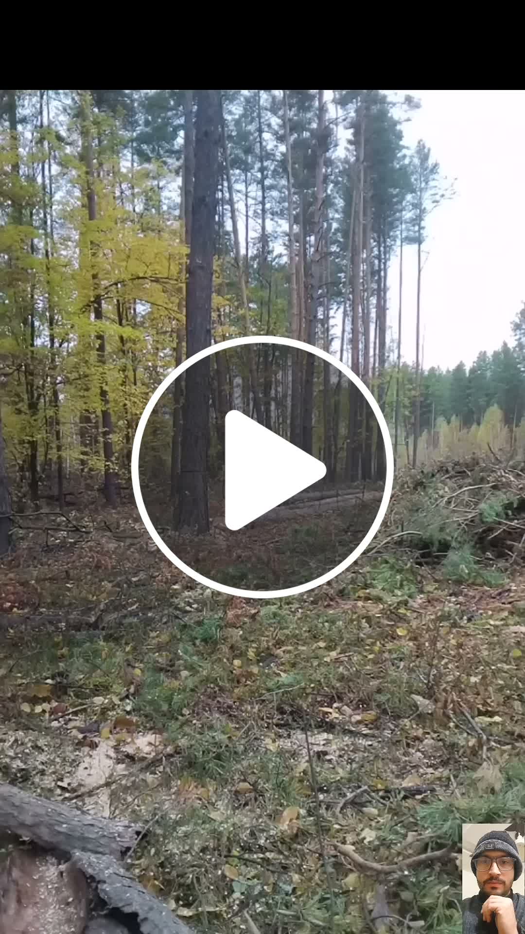 cutting tree #tree #cutting #downtree #viral #trinding - NewsBreak
