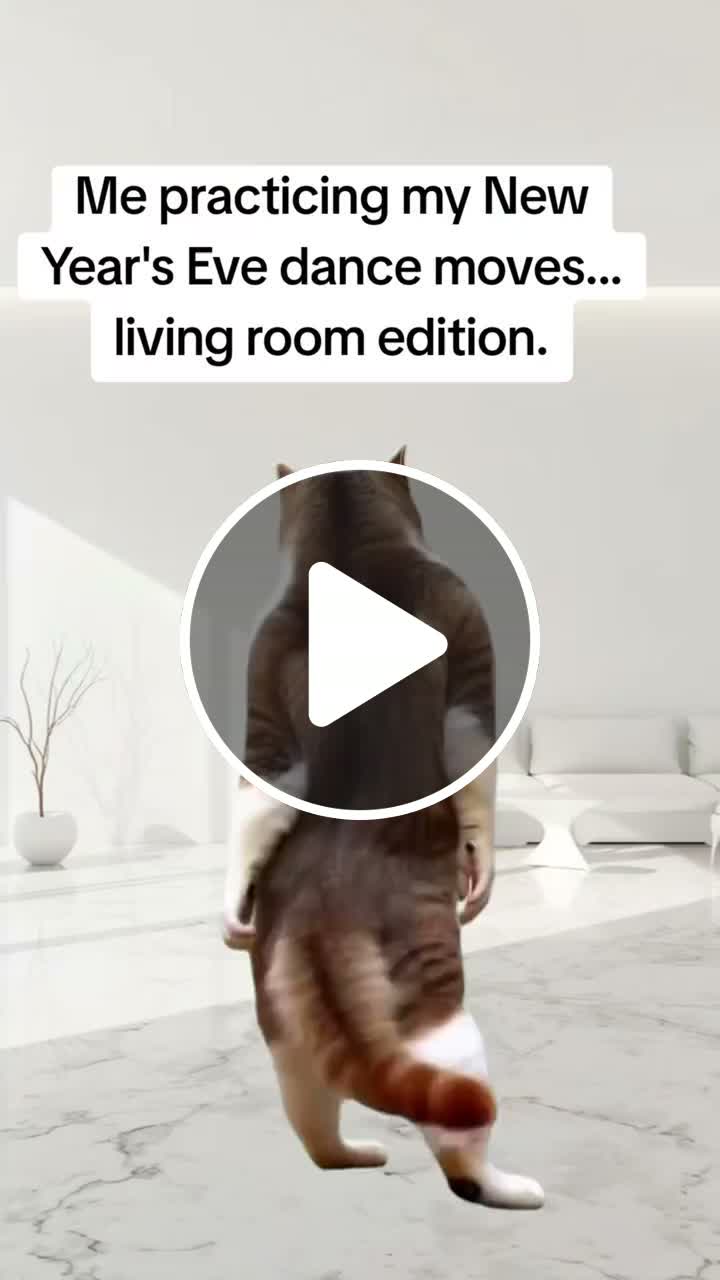 😂#Meme #MemeCut #CapCut created by Bhumi with Bhumi’s original sound ...