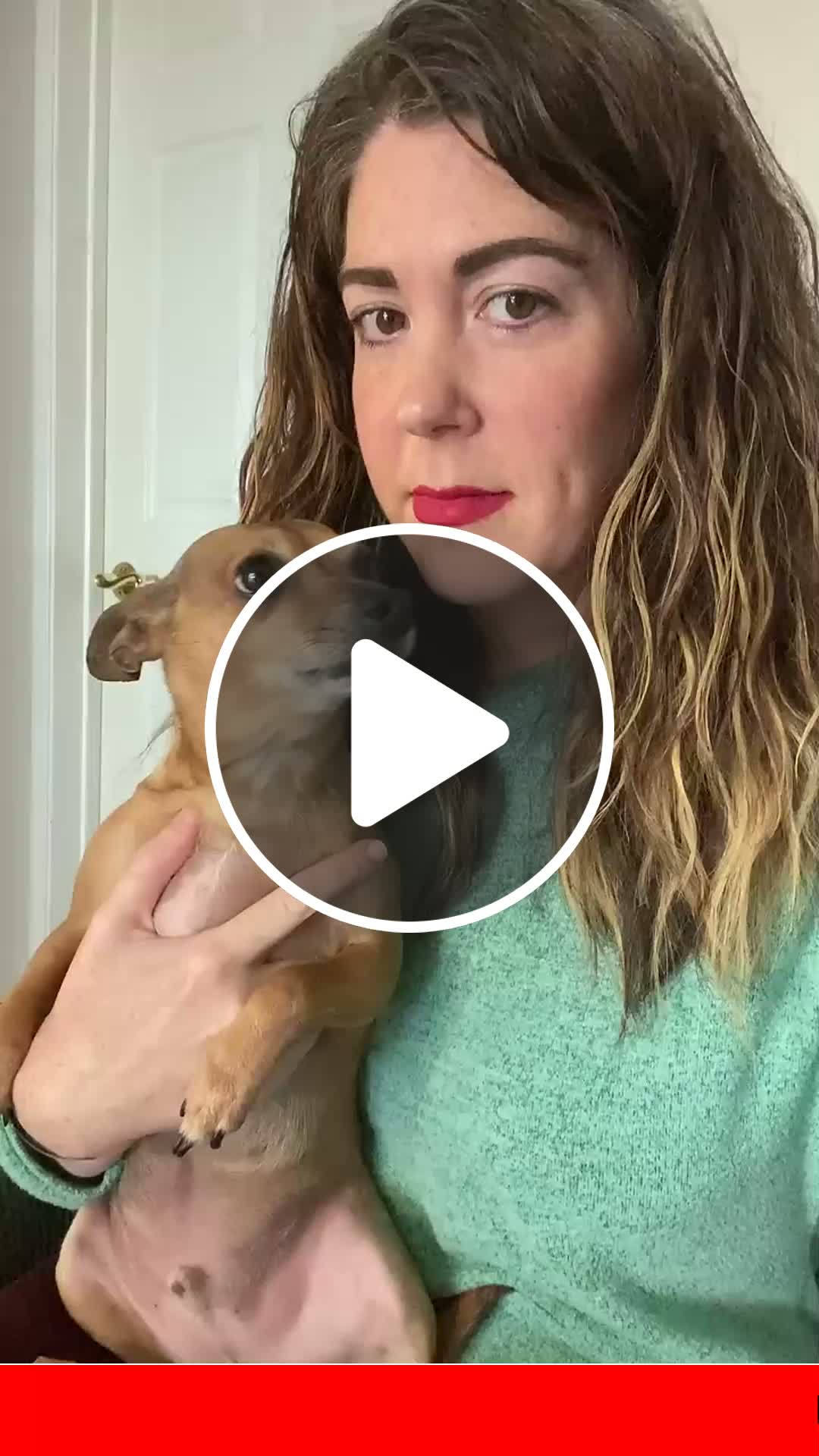 Dog Interrupts Owner While She Sings “Silent Night” and Howls Making ...