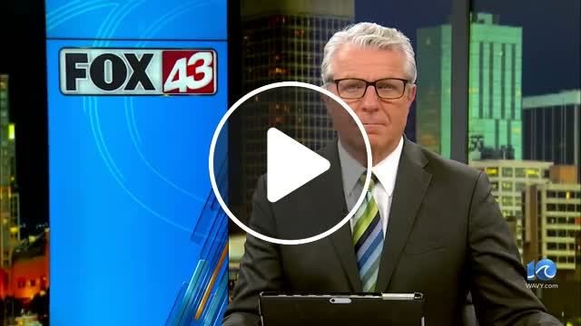 Cuteness alert! Juvenile harbor seal spotted sunbathing in Virginia ...