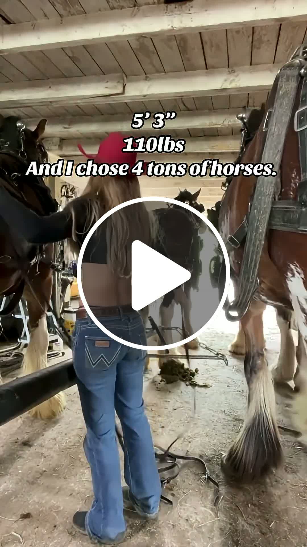 Did you watch how it went #itsamandalee #cowgirl #smallranch # ...