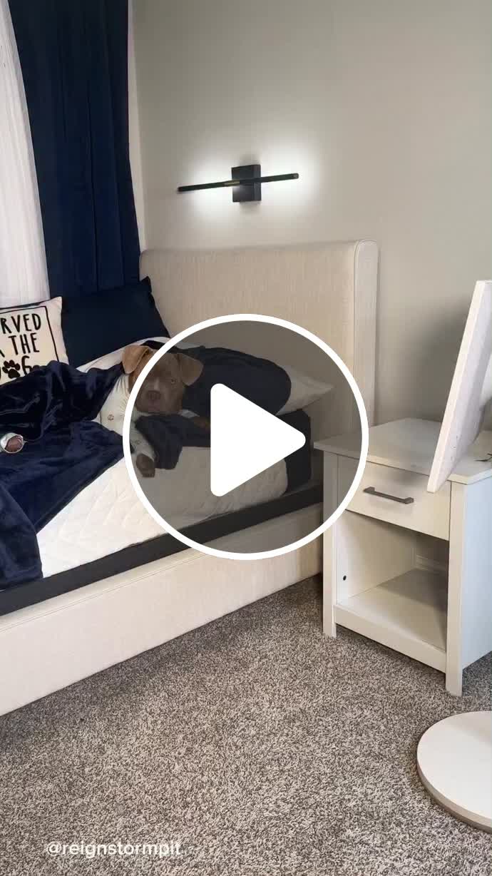 Relaxing Puppy Morning Routine With Paw Cleaning And Moisturizing Using ...