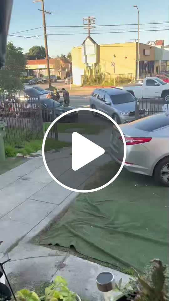 Failed to demonstrate good cause': Trump lawyer fully backs Cannon for ...