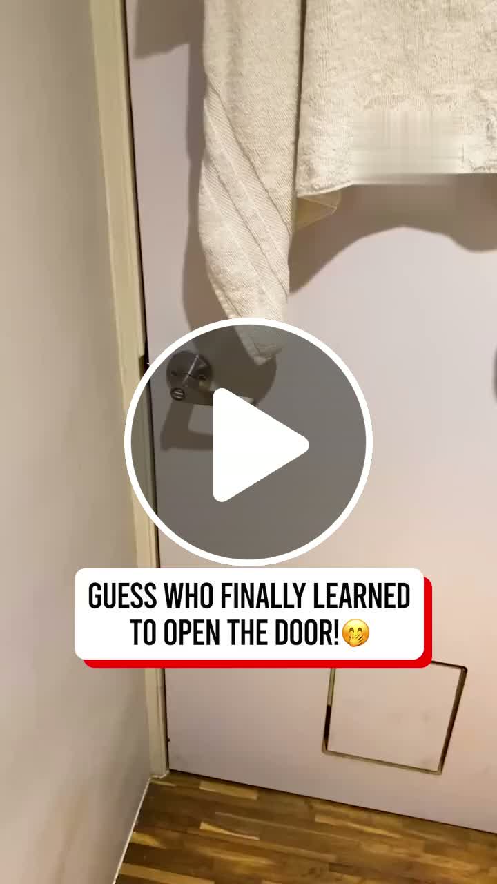 I was not expecting that to walk through 😅 - NewsBreak