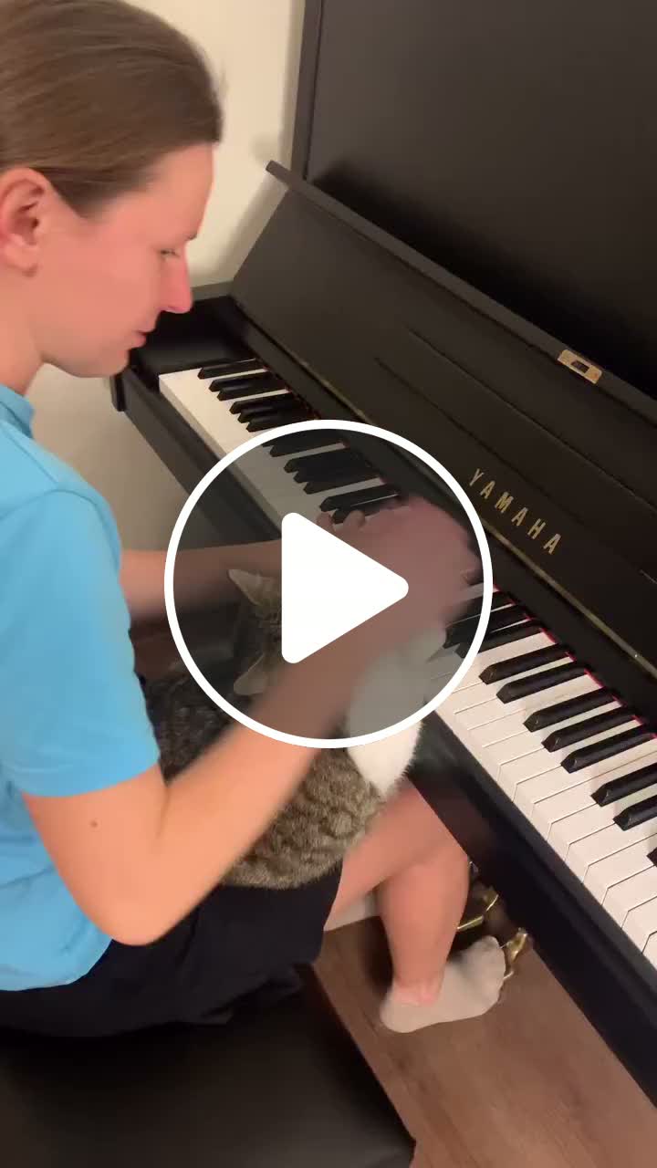 When the cat loves Chopin.. - NewsBreak