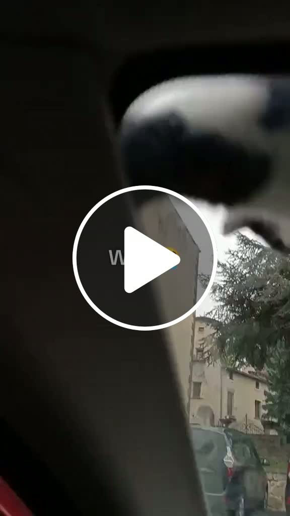 Is this the cat distribution system at work ? #SpreadTheLove# ...