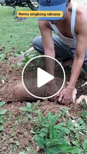 The truth they didn’t want you to hear 📢 - NewsBreak