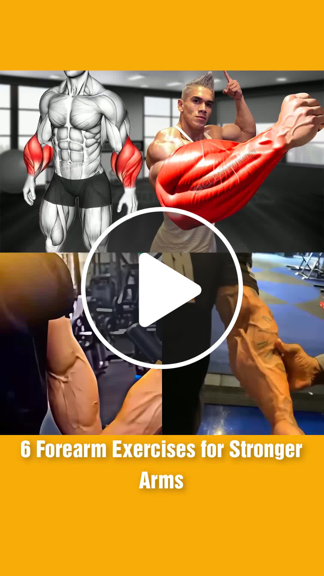 Forearm exercises for stronger arms #forearmworkout #forearms #workout ...